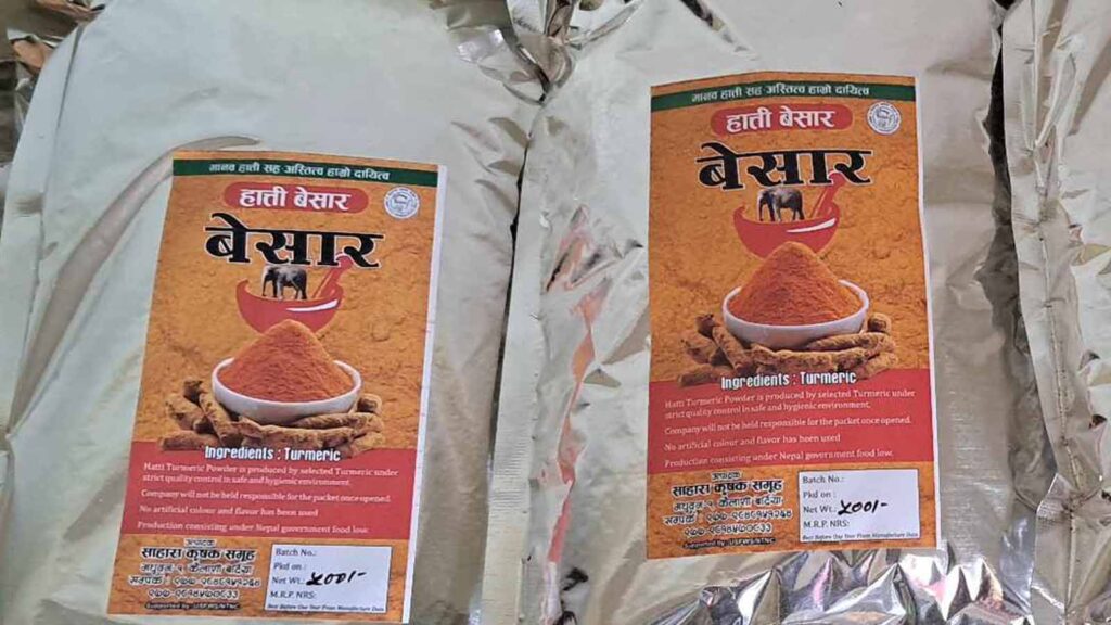 बर्दिया निकुञ्ज आसपासका कृषक बेसार खेती गर्दै, हात्ती बेसार ब्रान्डबाट ...